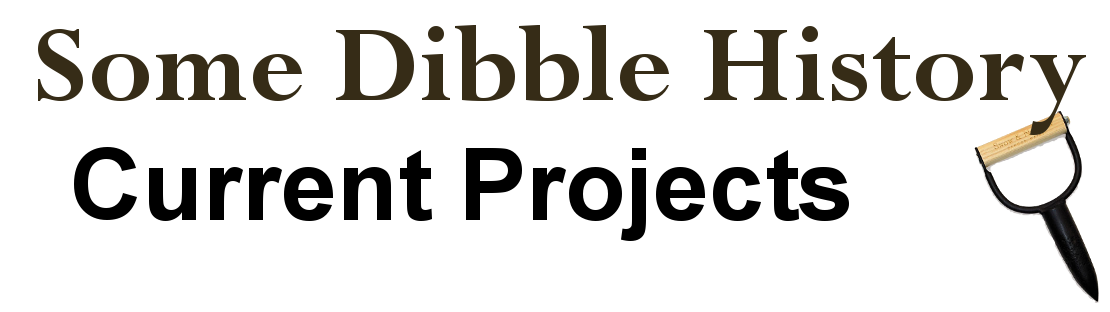 Dibble History - John Dibble of Sanford Broome County NY